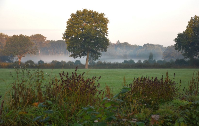Gemeinde-Kummerfeld - Gemeinde-Kummerfeld